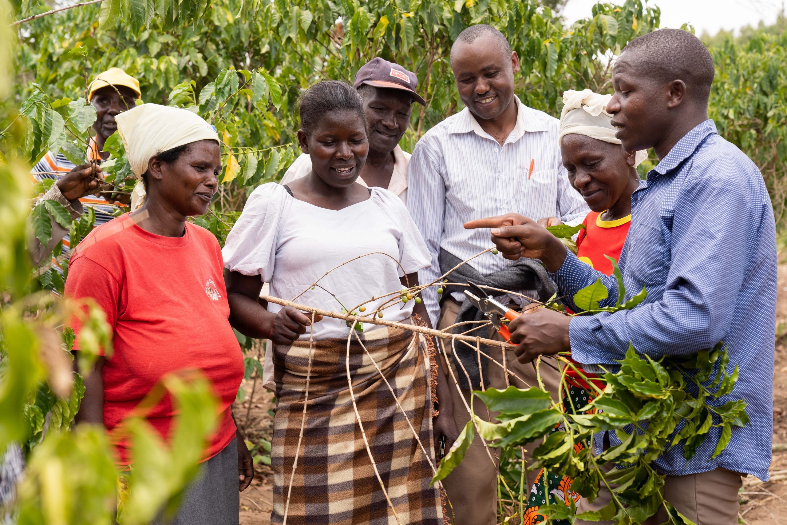 Fairtrade Trains Farmers to Adapt to Climate Change – Fairtrade America